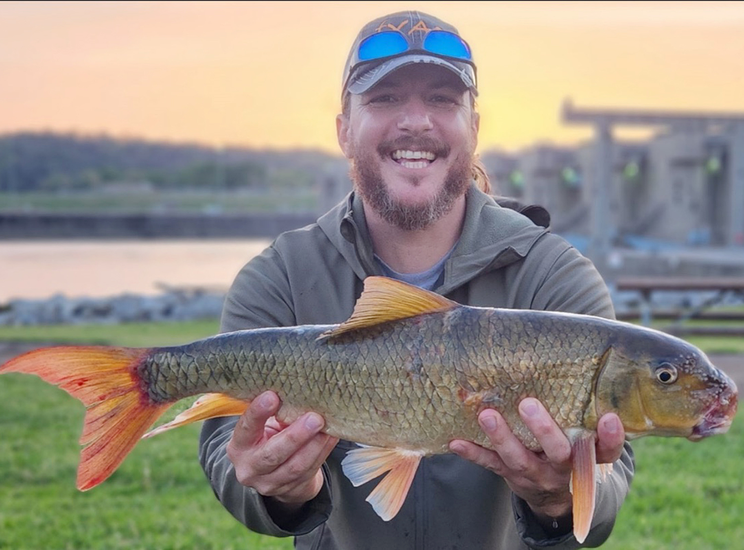 Redhorse Sucker | News, Sports, Jobs - The Intermountain